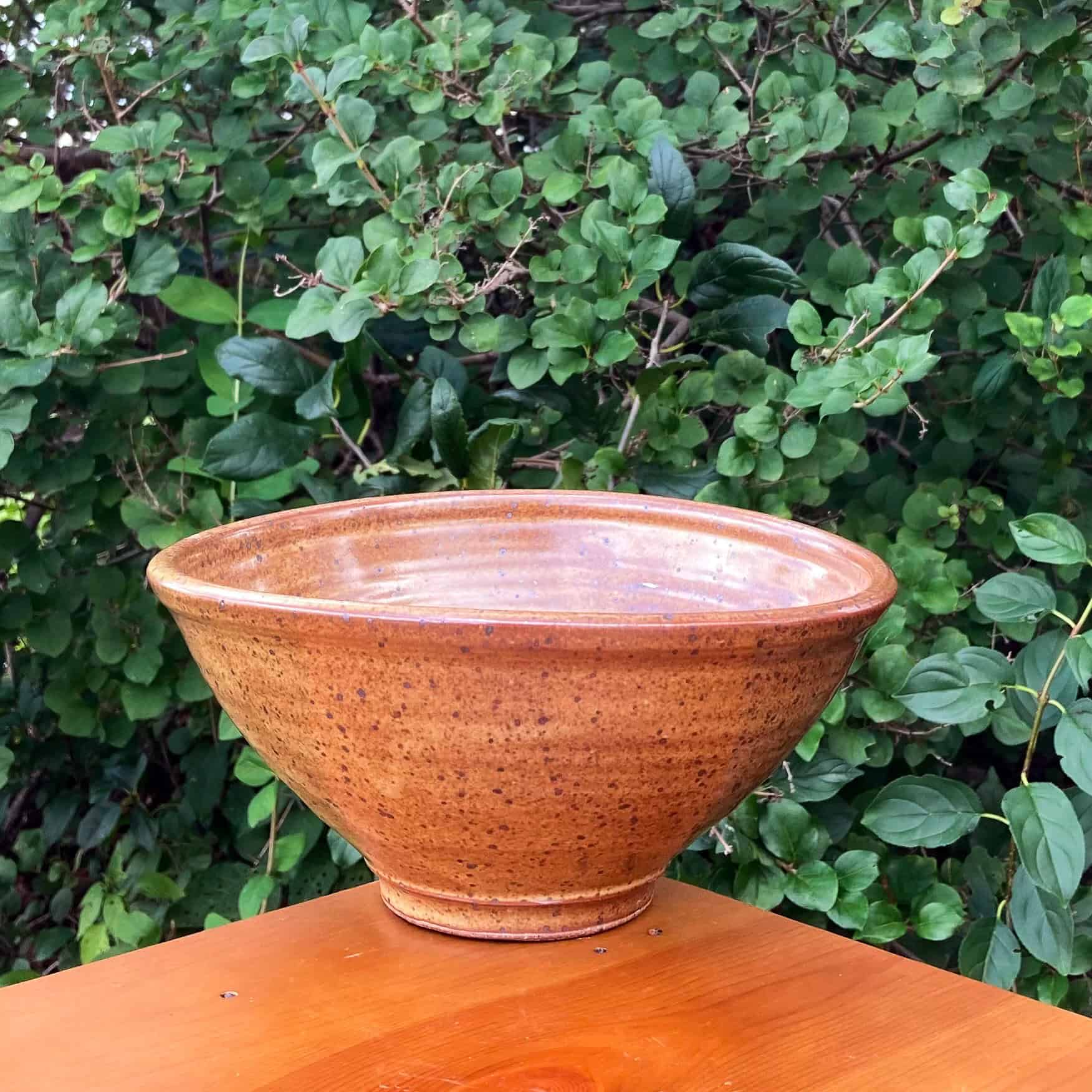 Specialty Bowls | Empty Bowls To-Go | Channel One Fundraiser
